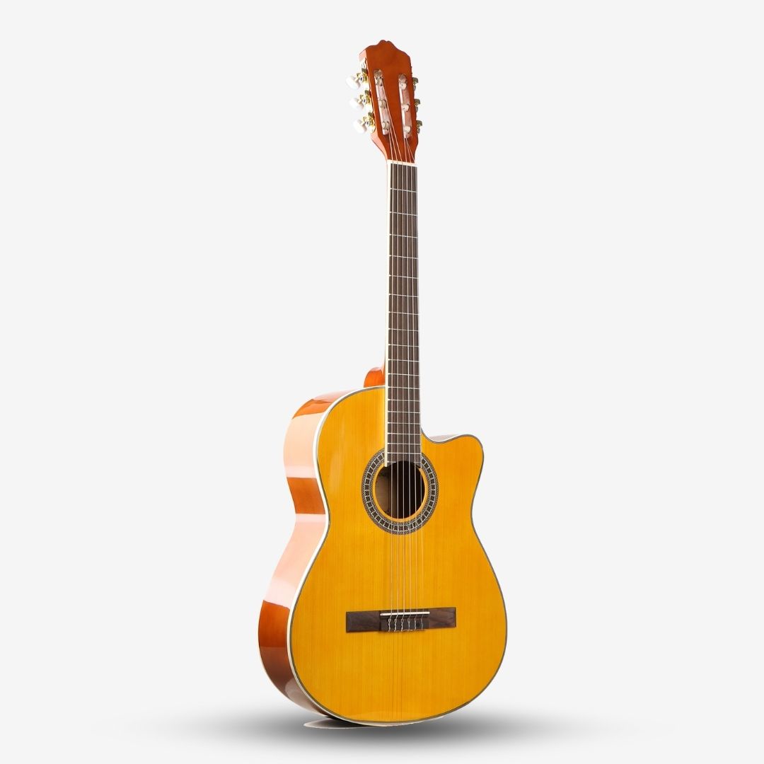 Deviser 39 inch Classical Guitar / Gitar Klasik (L-320N / L320 ) – GUITARLICIOUS