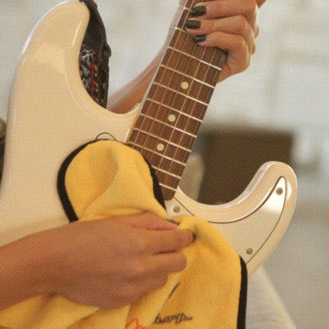 Cleaning & Care - GUITARLICIOUS