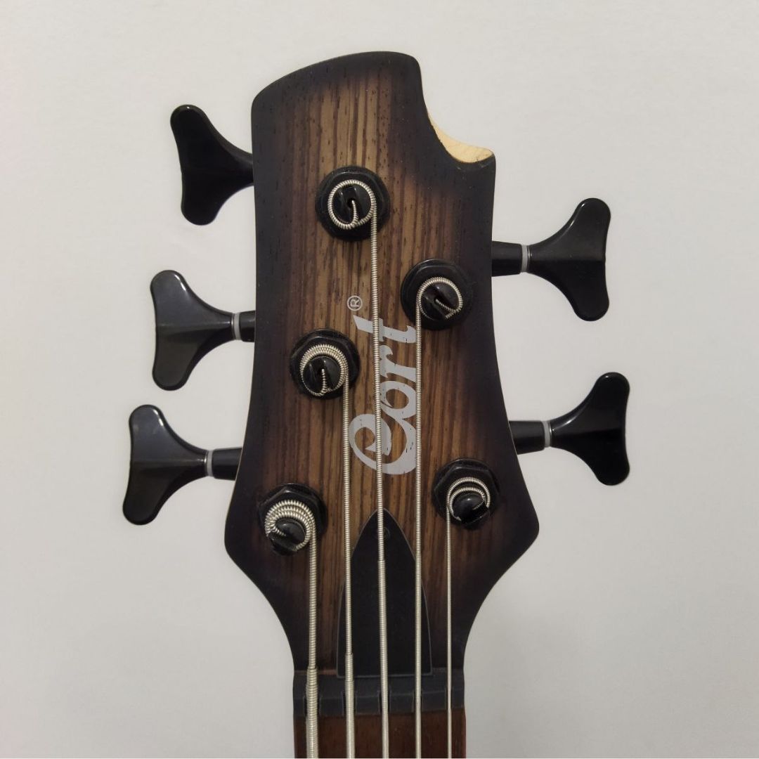 5-String Bass - GUITARLICIOUS