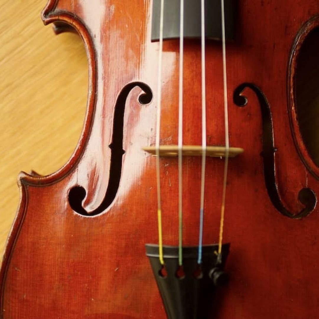 Violin Strings - GUITARLICIOUS