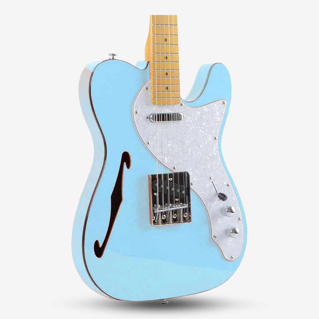 Firefly FFTH Thinline Telecaster Semi-Hollow Electric Guitar with bag ...