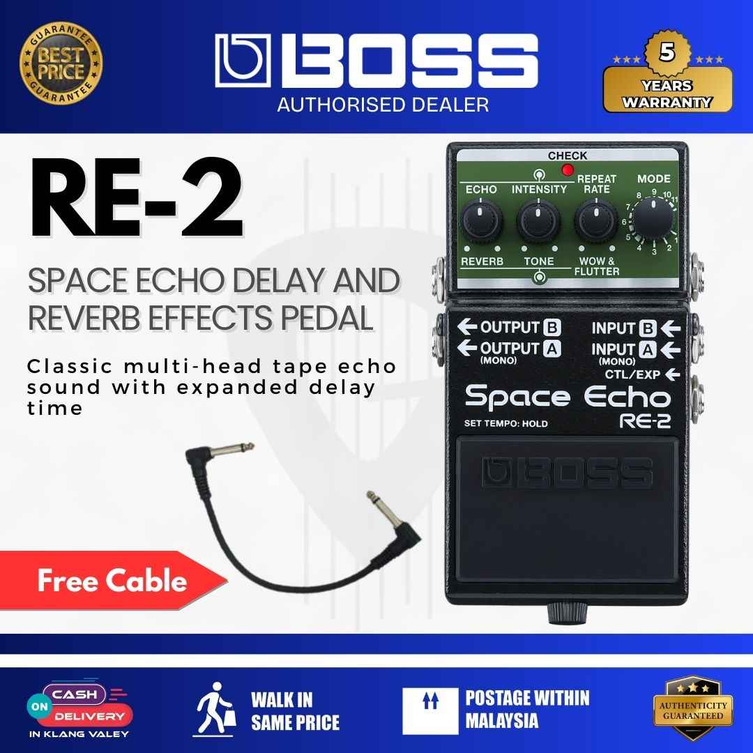 BOSS RE-2 Space Echo Delay and Reverb Effects Pedal – GUITARLICIOUS