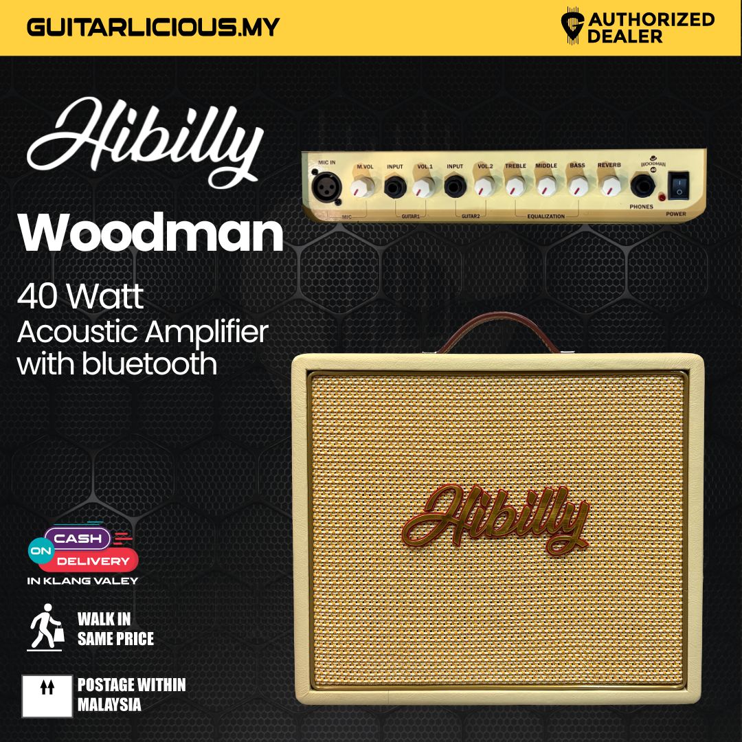 Hibilly Woodman 40W Acoustic Amplifier with Microphone Input, Chorus ...